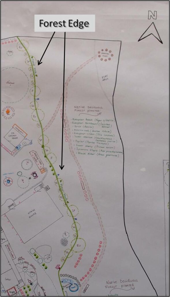 The Forest Edge Polyculture Design – Obenaus Community