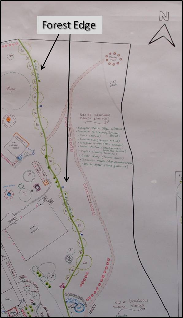 The Forest Edge Polyculture Design – Obenaus Community